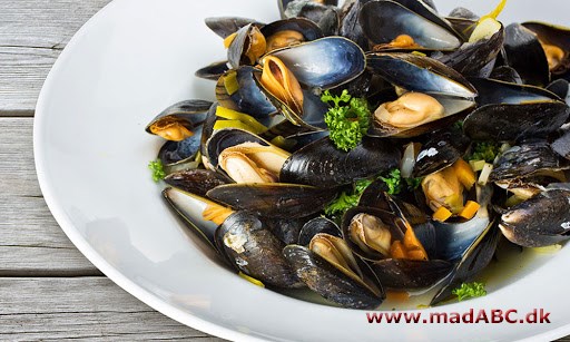 Muslinger - Blåmuslinger - info